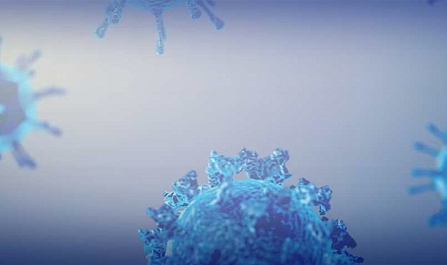 Iowa Resident Dies of Lassa Fever: Rare Virus Explained - News - Çözüm ...