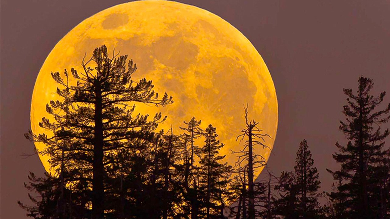 The Year's Final Supermoon: When and How to See It Shine Bright ...