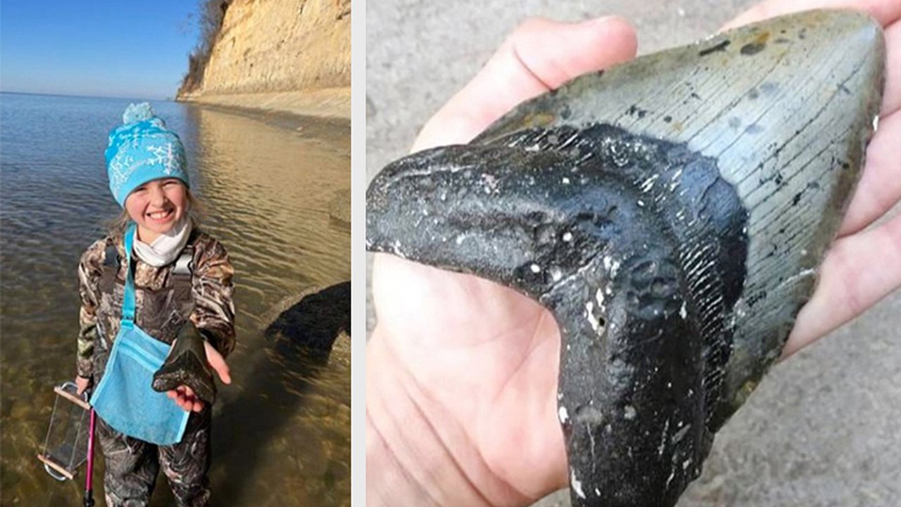 Young Explorer’s Stunning Discovery: A Prehistoric Relic on the ...